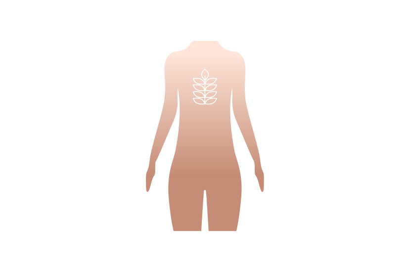 Stem Body Type – Thread + Seed