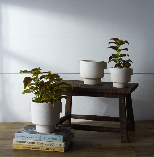 The Milton Pot – Thread + Seed